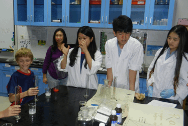 The YCIS Science Fair